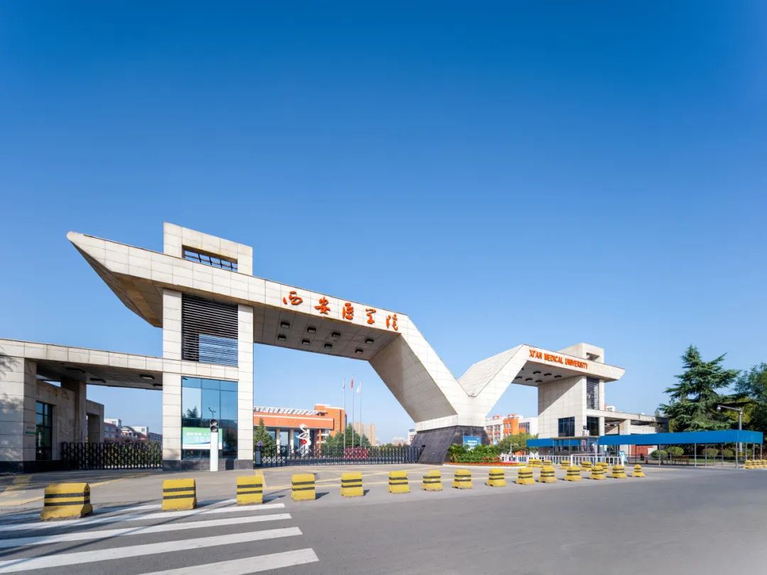 西安医学院2024年ICC国际创意学院项目招生简章-国际合作与交流办公室-西安医学院